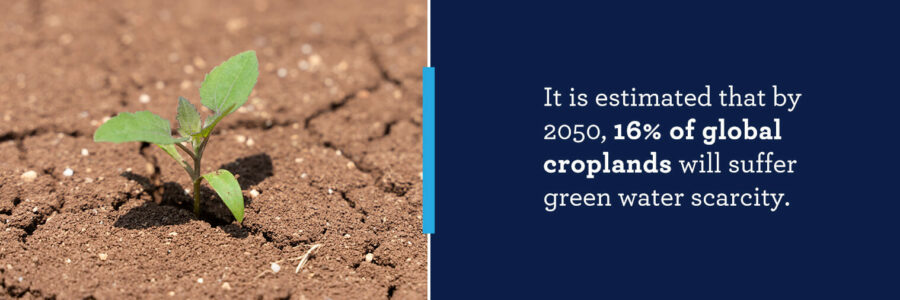 The Threat of Water Scarcity on Agriculture | MECO