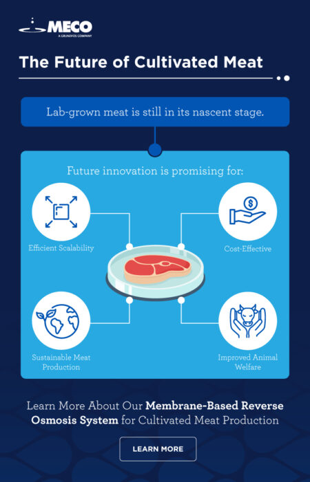Examining the Sustainability of Lab-Grown Meat Production - MECO