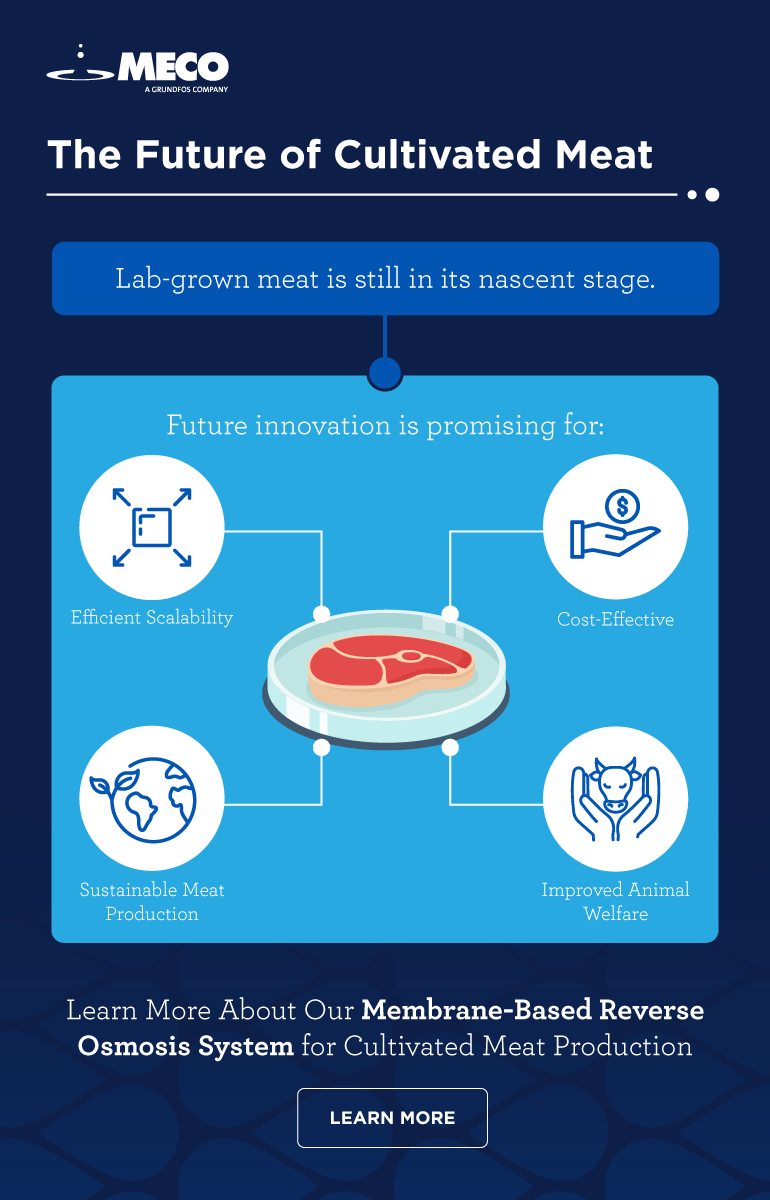 Examining the Sustainability of Lab-Grown Meat Production - MECO